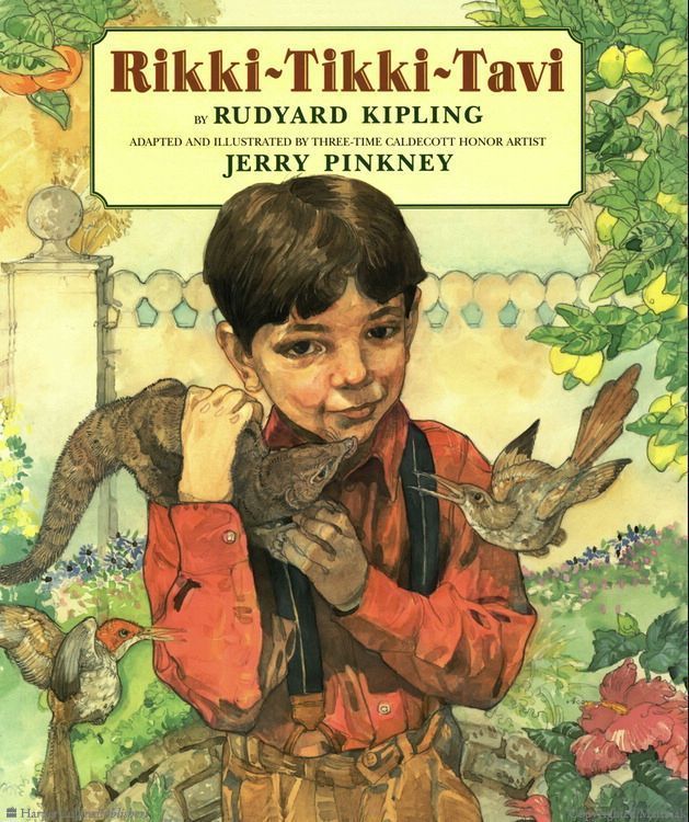 Snakes – Let's Learn All About It!