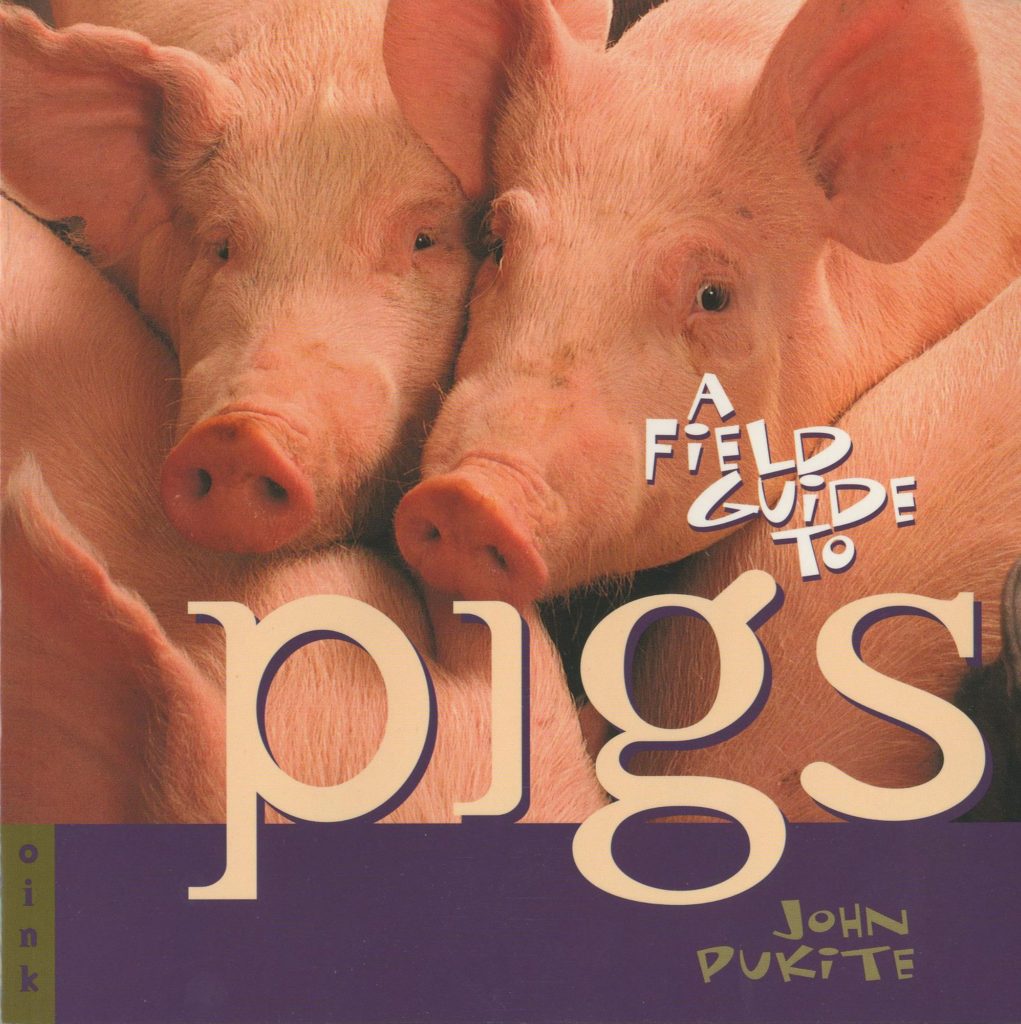 Perfect Pigs – Page 3 – Let's Learn All About It!
